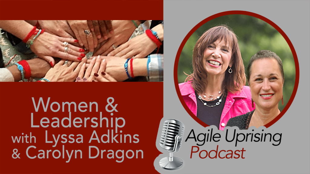 Webinar Series: Adaptive Leadership - Agile Velocity