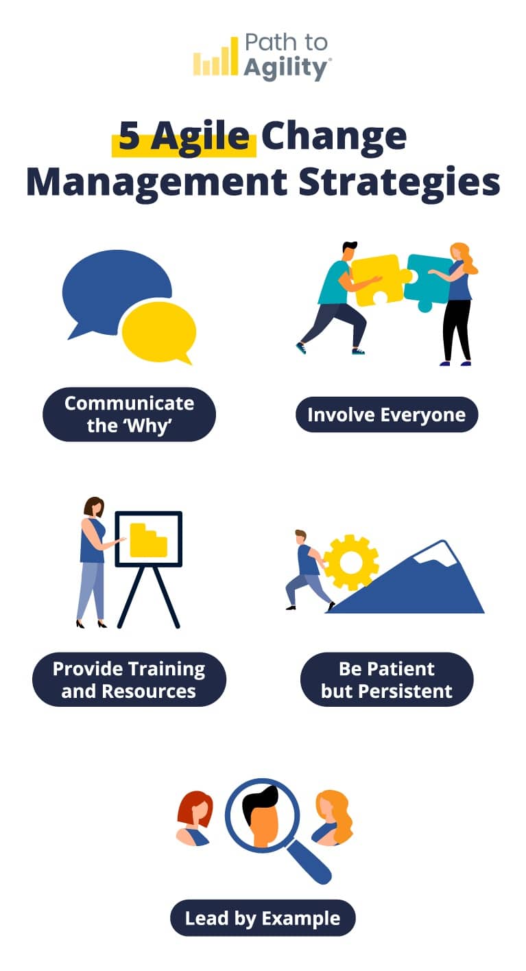 Scaling Agile Across Multiple Teams in Large Organizations