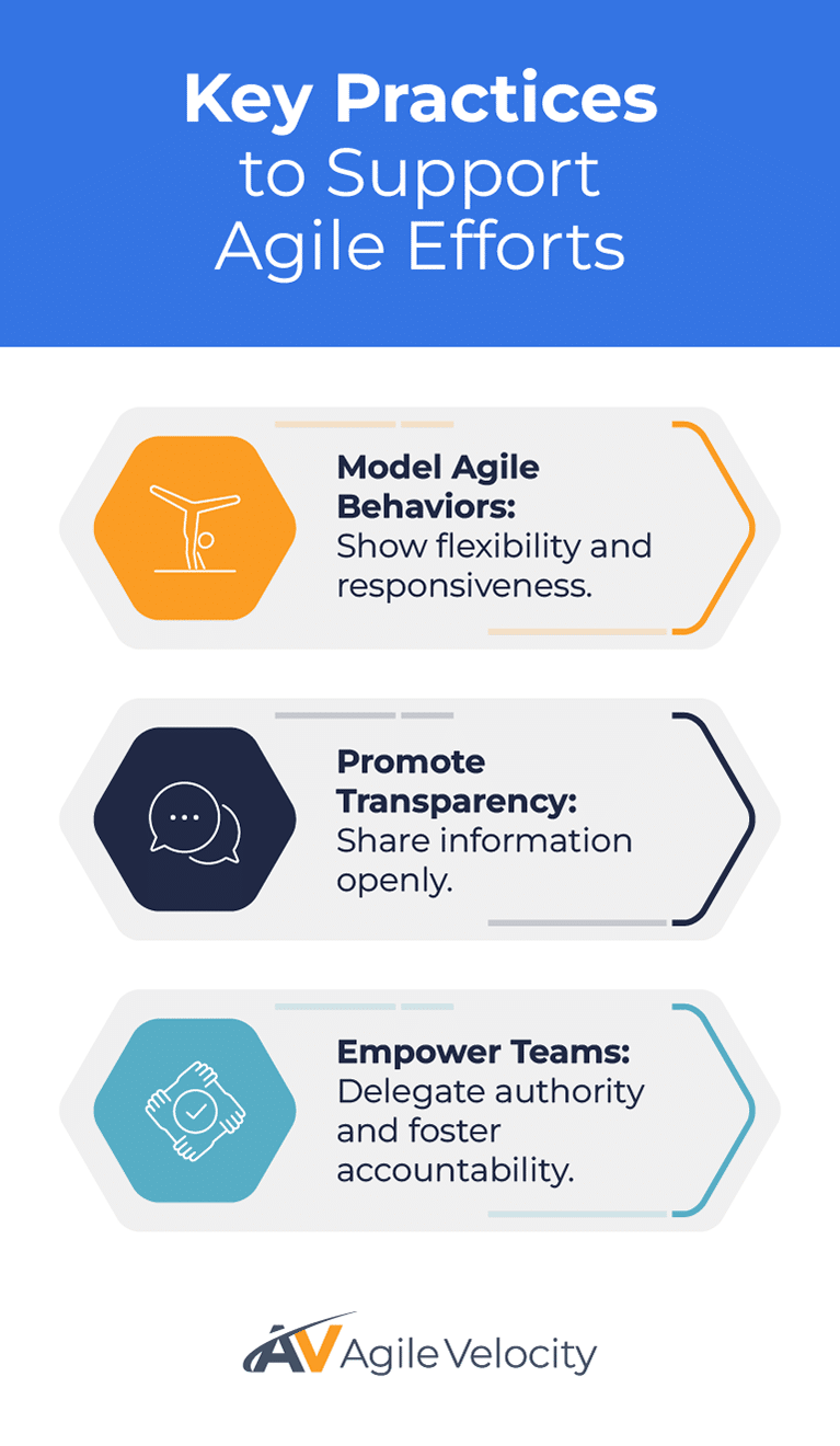 Empower Your C-Suite for Agile Transformation Success