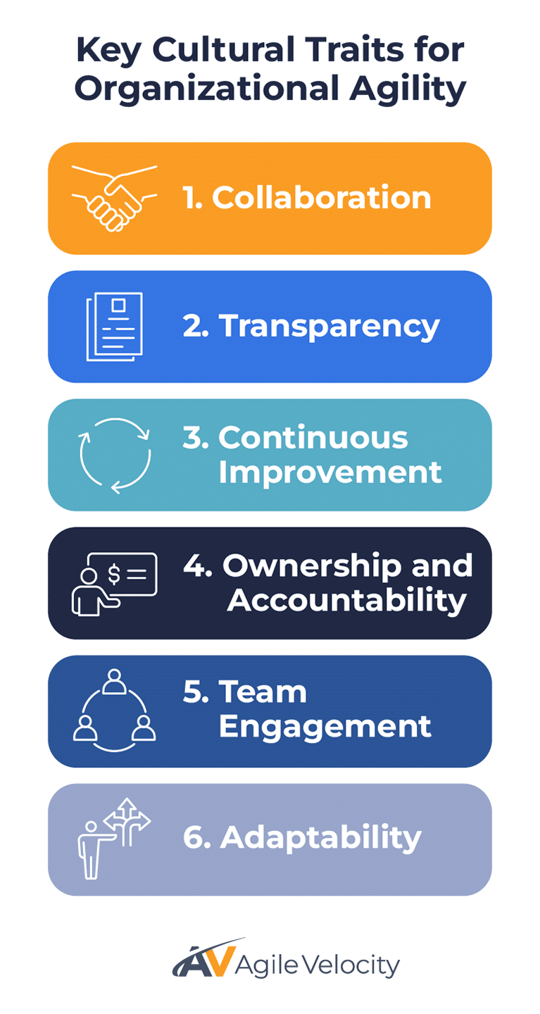 Enhancing Organizational Agility: Essential Cultural Traits